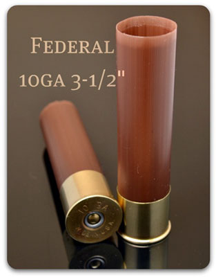 10 Gauge Shotgun Shell